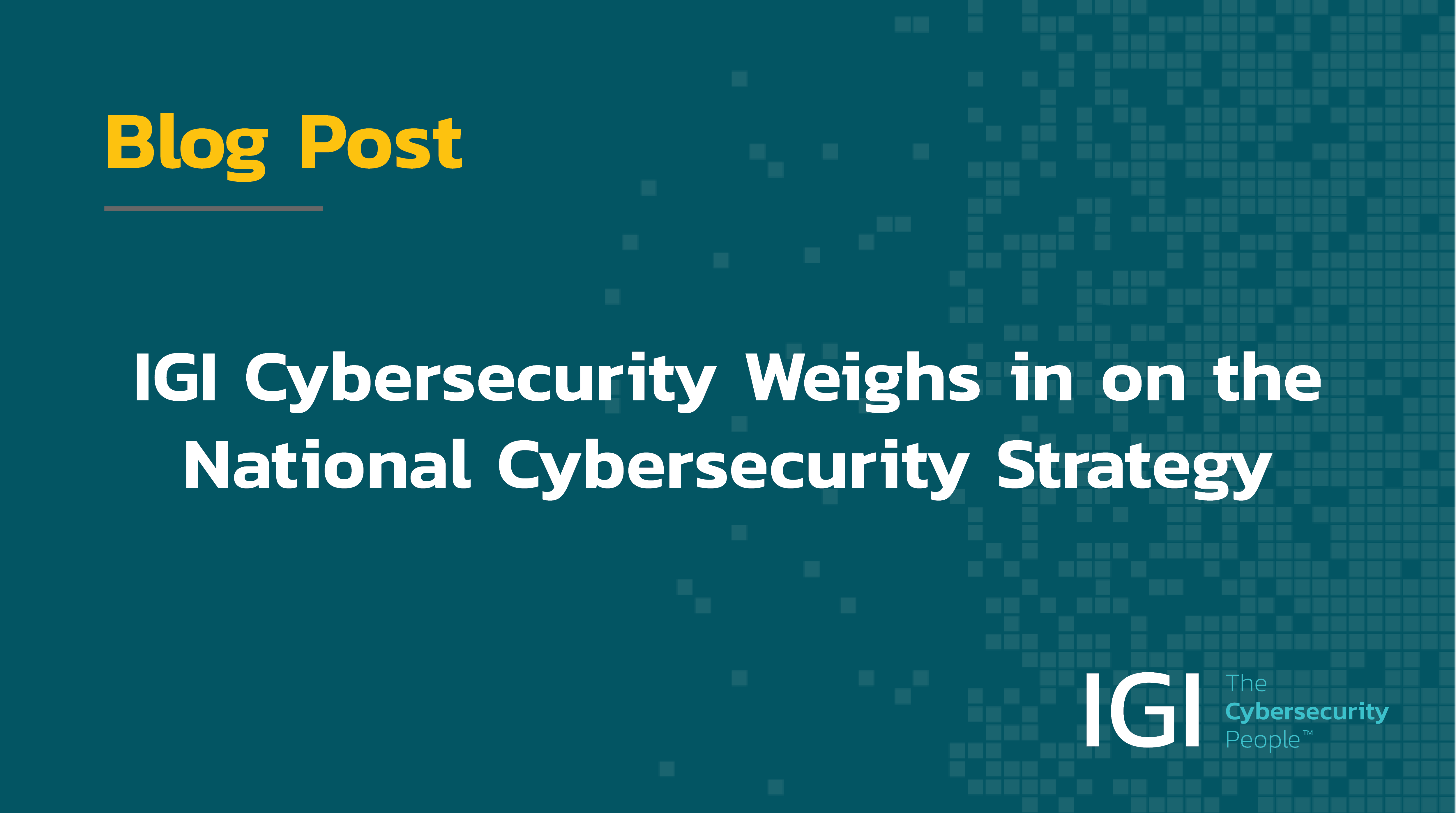 IGI Cybersecurity Weighs in on the National Cybersecurity Strategy
